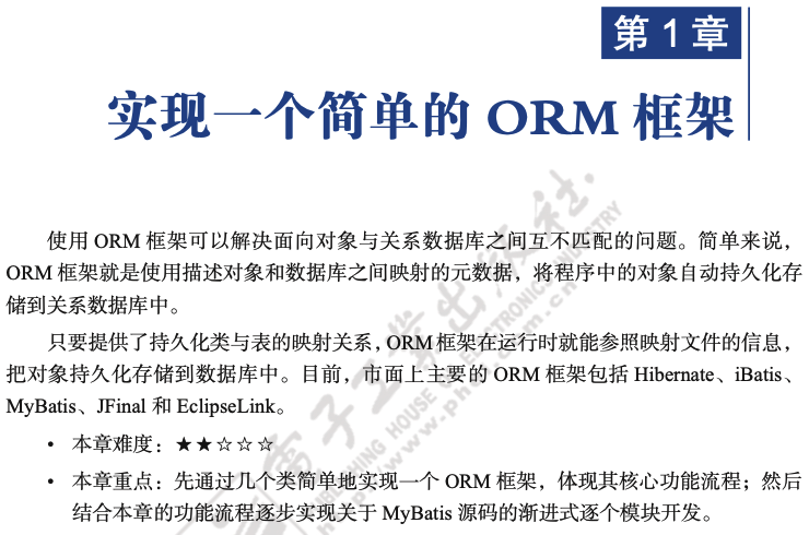 2023年:《手写mybatis:渐进式源码实践》 小傅哥 Bugstack 虫洞栈 4945